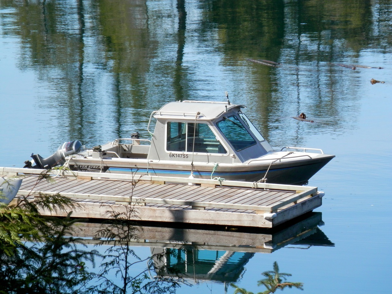 Northern Johnston Strait Oceanfront Cabin: