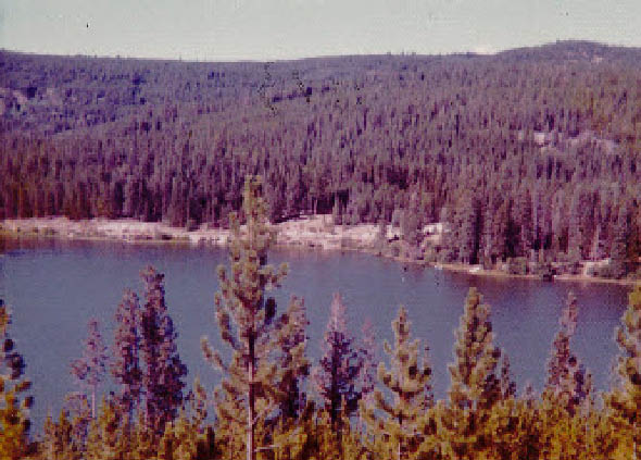 Okanagan Lot for sale near Link lake & Osprey Lake: (Listed 2013-06-14)