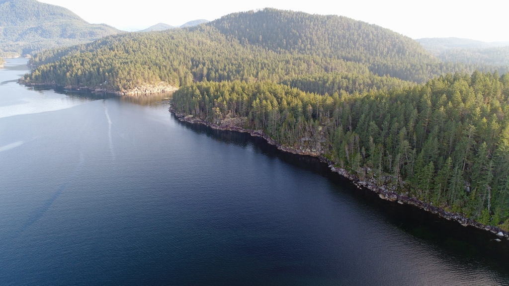 Blind Bay 1/4 Island: