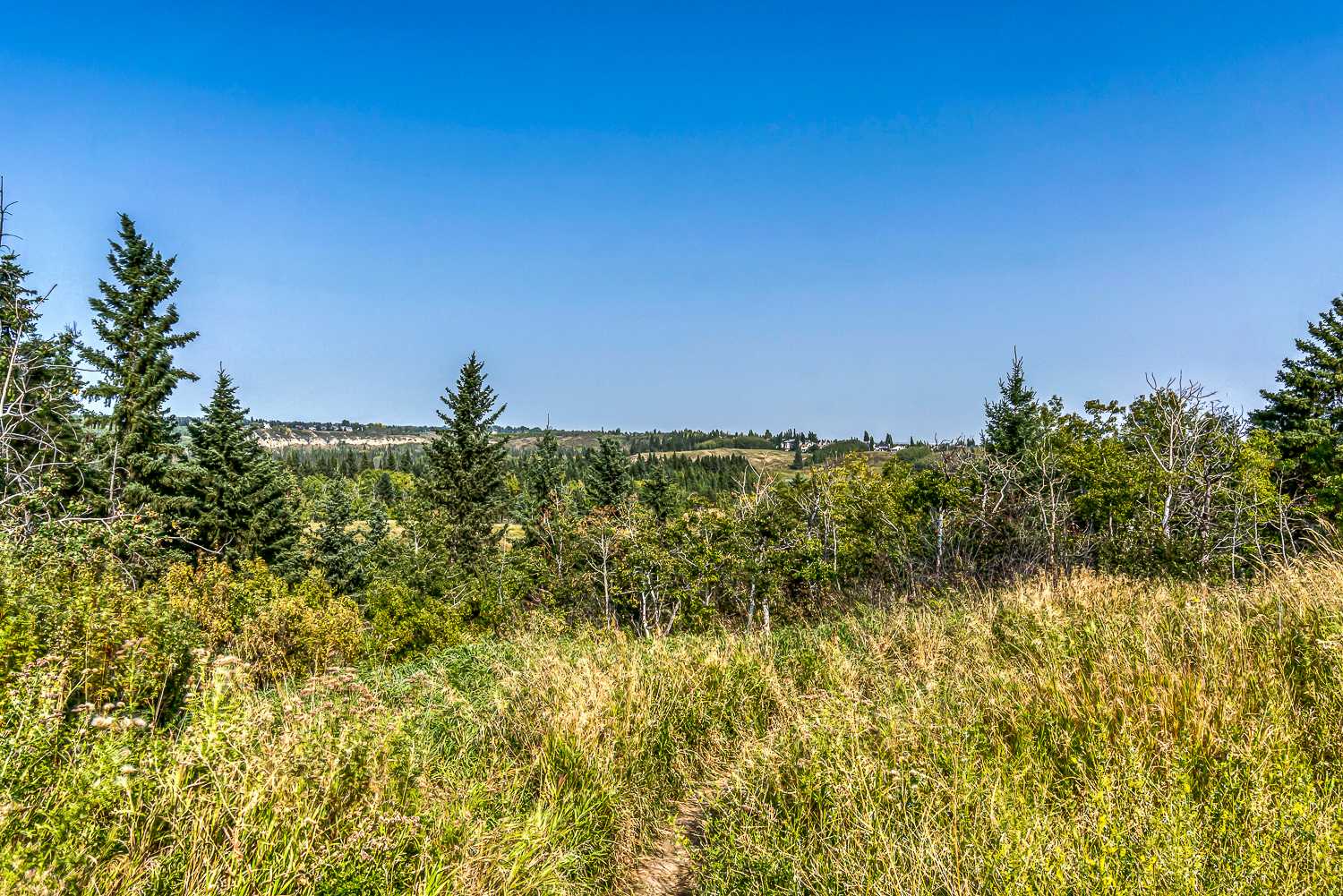 Evergreen Condo for sale: Sanderson Ridge 2 Bedrooms + Den 1,201 sq.ft ...